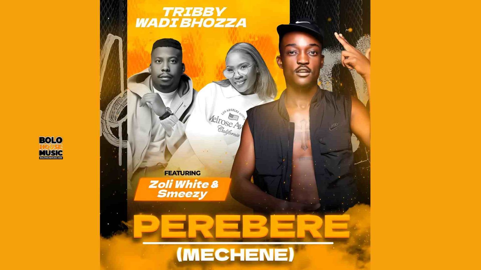 NaleBoy Young King x Tribby Wa Di Bhozza - Mekwanti - Bolo House Music